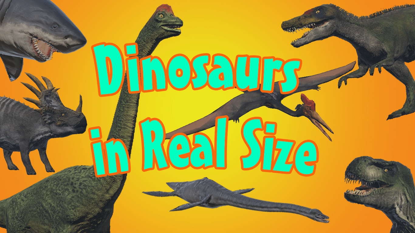 Real Dinosaurs