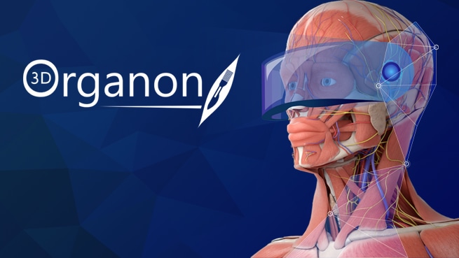 3D Organon XR